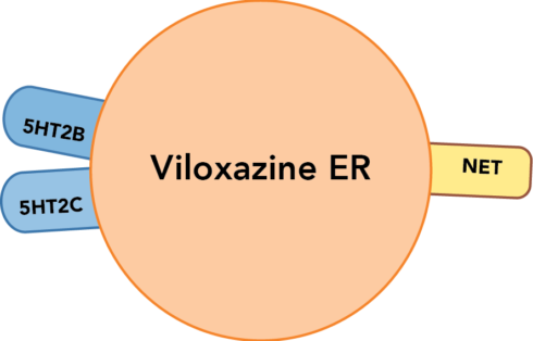 Viloxaznie: FDA approves Nonstimulant for ADHD in Kids 6 -17 Years ...
